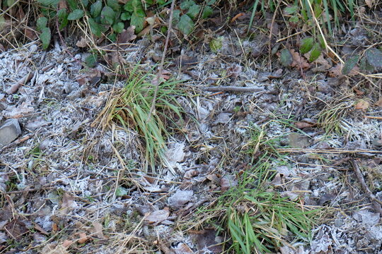 Wenig bilder – Bläddra bland 5,401 stockfoton, vektorer och videor ...