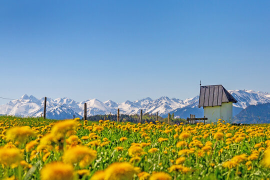 Jahreszeiten 이미지 – 찾아보기 30,953 스톡 사진, 벡터 및 비디오 | Adobe Stock
