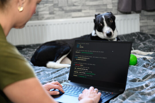 Imagens de Programar – Explore Fotografias do Stock, Vetores e Vídeos ...