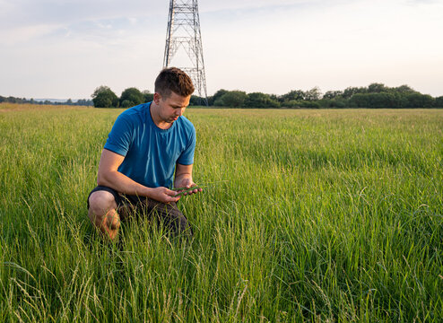 「Futtergras」の画像 - 89 件の Stock 写真、ベクターおよびビデオ | Adobe Stock