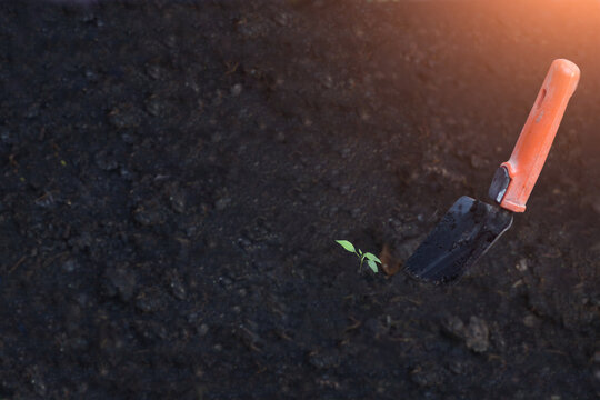 Imágenes de Dig: descubre bancos de fotos, ilustraciones, vectores y ...