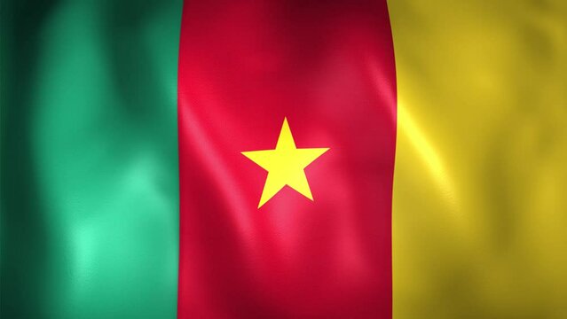 "Cameroonian Flag" Images – Browse 1,853 Stock Photos, Vectors, and ...