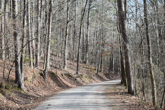 "Curved Path" Images – Browse 331 Stock Photos, Vectors, and Video ...