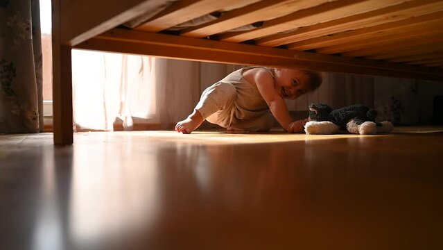 Obrázky Fetching – procházejte fotografie, vektory a videa 2,380,790 ...