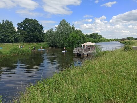 Stewer bilder – Bläddra bland 12 stockfoton, vektorer och videor ...
