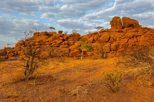 รูปภาพBantustan – เลือกดูภาพถ่ายสต็อก เวกเตอร์ และวิดีโอ128 | Adobe Stock