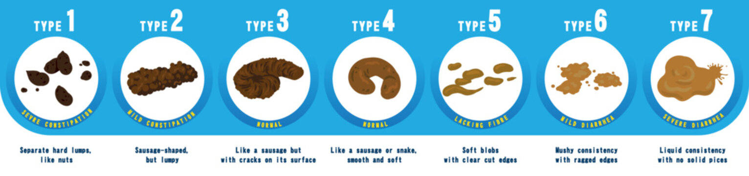 Stool Chart Images – Browse 5,801 Stock Photos, Vectors, and Video ...