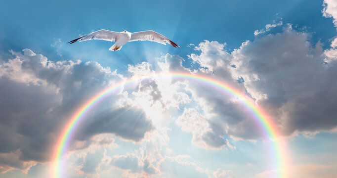 Happy Seagull Bilder – Durchsuchen 13,413 Archivfotos, Vektorgrafiken ...