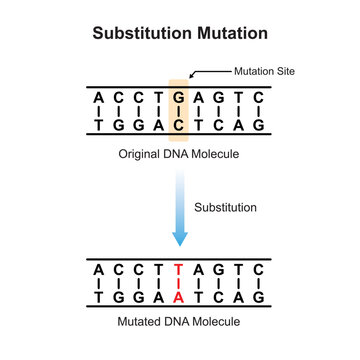 Punktmutation bilder – Bläddra bland 58 stockfoton, vektorer och videor ...