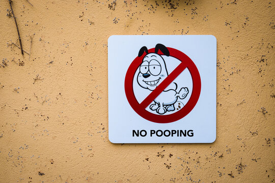 "No Poop" Images – Browse 54 Stock Photos, Vectors, and Video | Adobe Stock