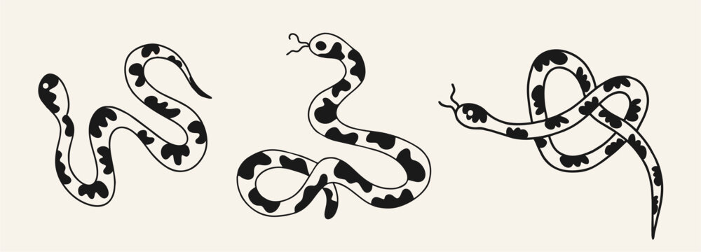 รูปภาพWrith – เลือกดูภาพถ่ายสต็อก เวกเตอร์ และวิดีโอ33,642 | Adobe Stock