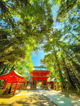 Marg bilder – Bläddra bland 43,766 stockfoton, vektorer och videor ...