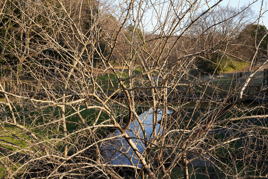 桑 Images – Browse 948 Stock Photos, Vectors, and Video | Adobe Stock