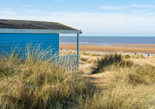 "Surf Shack" Bilder – Durchsuchen 129 Archivfotos, Vektorgrafiken und ...