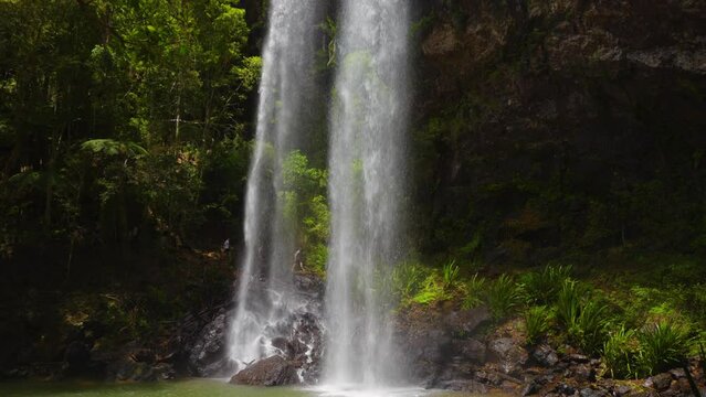 "Springbrook National Park" Images – Browse 473 Stock Photos, Vectors ...