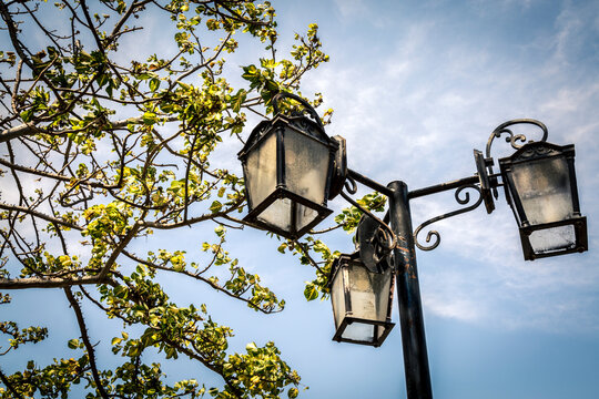 El Bilder – Durchsuchen 192,226 Archivfotos, Vektorgrafiken und Videos ...