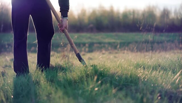 Woodlet Images – Browse 1,939,124 Stock Photos, Vectors, and Video ...