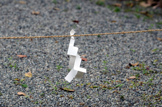 รูปภาพShide – เลือกดูภาพถ่ายสต็อก เวกเตอร์ และวิดีโอ1,781 | Adobe Stock