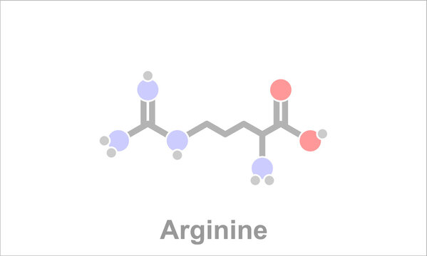 Arginine Bilder – Durchsuchen 5,068 Archivfotos, Vektorgrafiken und ...