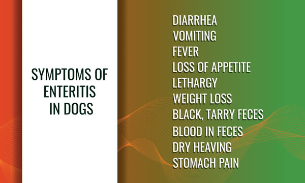 Enteritis bilder – Bläddra bland 938 stockfoton, vektorer och videor ...