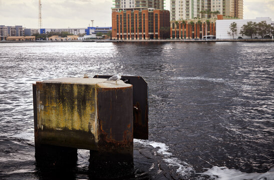 Arman Zhenikeyev photos, images, assets | Adobe Stock