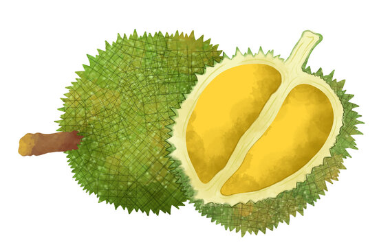 Doerian Images – Browse 3 Stock Photos, Vectors, and Video | Adobe Stock