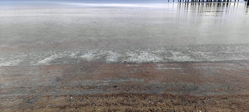 Seicht Billeder – Gennemse 1,762 stockfotos, vektorer og videoer ...