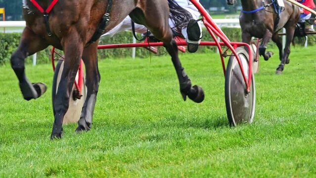 Sulkies Bilder – Durchsuchen 5,847 Archivfotos, Vektorgrafiken und ...