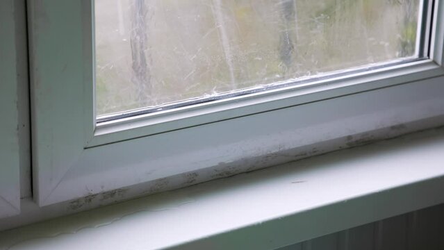 รูปภาพ"Leaking – เลือกดูภาพถ่ายสต็อก เวกเตอร์ และวิดีโอ395,491 | Adobe ...