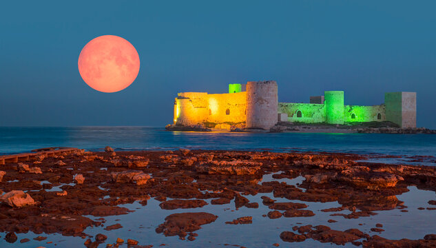 รูปภาพCorycus – เลือกดูภาพถ่ายสต็อก เวกเตอร์ และวิดีโอ1,208 | Adobe Stock