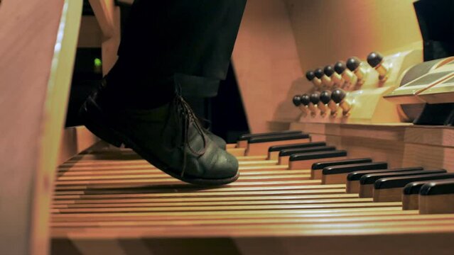 "Pipe Organ" Imagens – Procure 15,853 fotos, vetores e vídeos | Adobe Stock