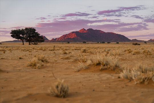 "Namibia Desert"-Bilder: Stock-Fotos & -Videos. | Adobe Stock