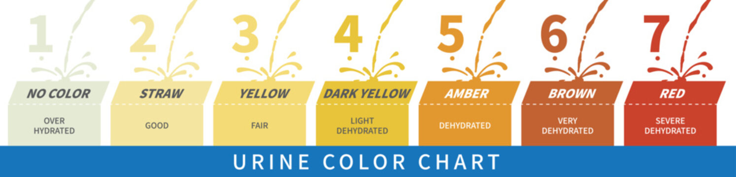Urine Color Chart Images – Browse 329 Stock Photos, Vectors, and Video ...