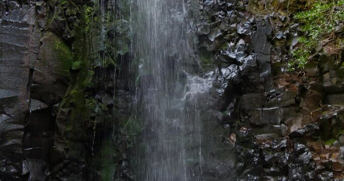 Ravins Images – Browse 180,617 Stock Photos, Vectors, and Video | Adobe ...