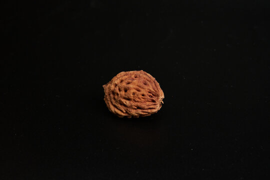 "Peach Pit" Images – Browse 435 Stock Photos, Vectors, and Video ...