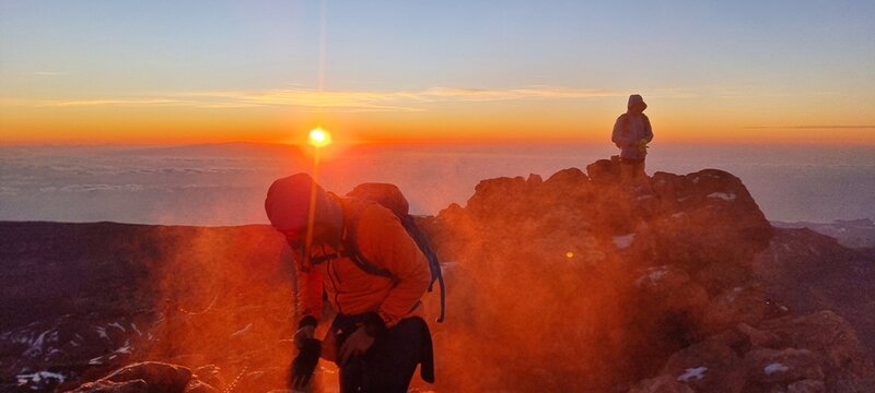 El Bilder – Durchsuchen 192,226 Archivfotos, Vektorgrafiken und Videos ...
