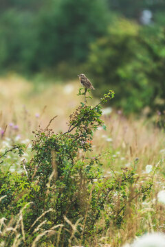 Imágenes de Banch: descubre bancos de fotos, ilustraciones, vectores y ...