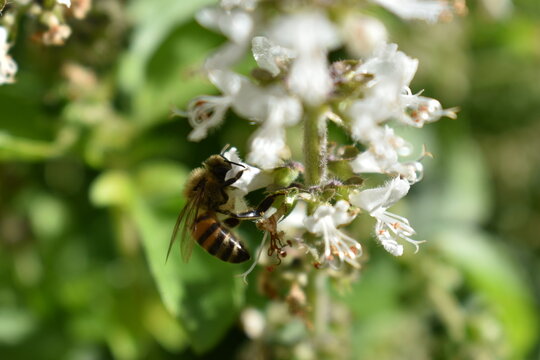 Zangano Images – Browse 50 Stock Photos, Vectors, and Video | Adobe Stock