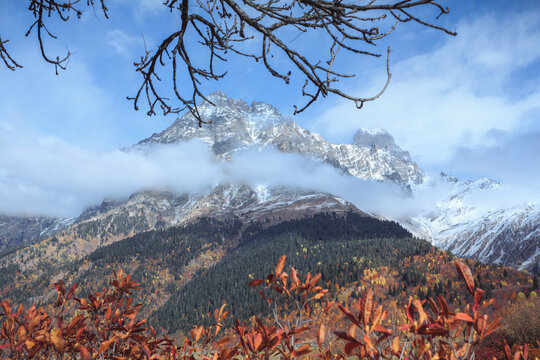 รูปภาพUshba – เลือกดูภาพถ่ายสต็อก เวกเตอร์ และวิดีโอ2,747 | Adobe Stock