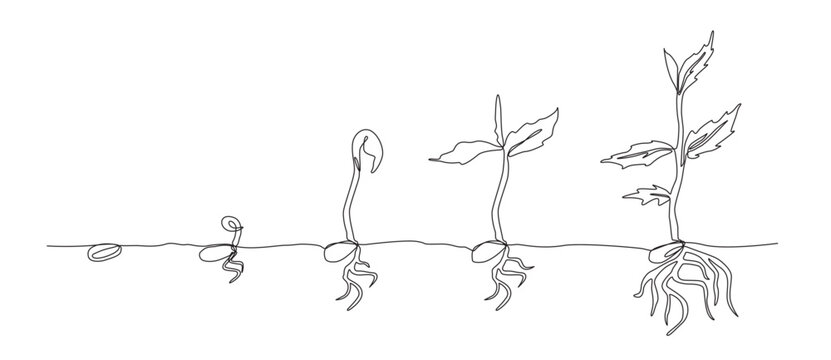 Seedling Drawing Images – Browse 152,112 Stock Photos, Vectors, and ...