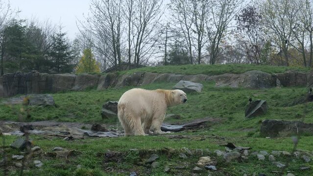 Hypercarnivorous Images – Parcourir 368 le catalogue de photos ...