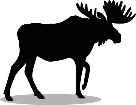 Moose Vector Art