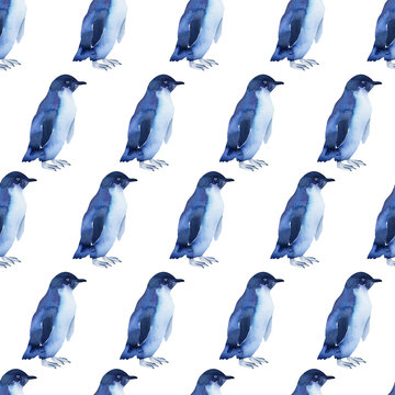 "Penguin Pattern" - Images et vidéos libres de droits | Adobe Stock