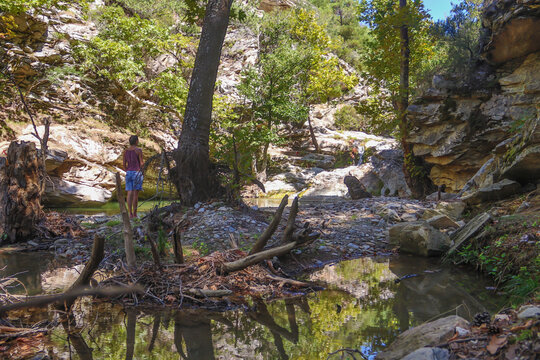 Non-Polluted bilder – Bläddra bland 23 stockfoton, vektorer och videor ...