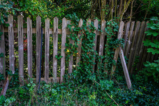 Maroder Images – Browse 254 Stock Photos, Vectors, and Video | Adobe Stock