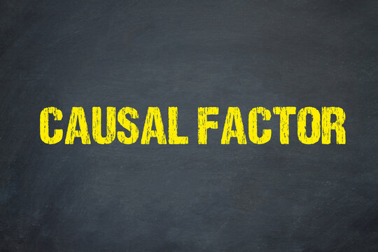 Causal Bilder – Durchsuchen 11,803 Archivfotos, Vektorgrafiken und ...