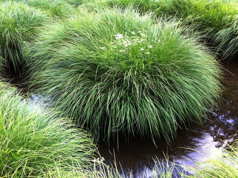 Cesspit Images – Browse 1,783 Stock Photos, Vectors, and Video | Adobe ...