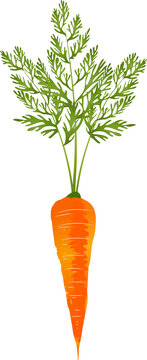 รูปภาพKarotte – เลือกดูภาพถ่ายสต็อก เวกเตอร์ และวิดีโอ23,642 | Adobe Stock