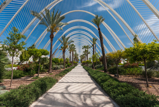 Umbracle Images – Browse 227 Stock Photos, Vectors, and Video | Adobe Stock