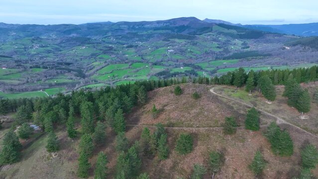 Pando Images – Browse 361 Stock Photos, Vectors, and Video | Adobe Stock